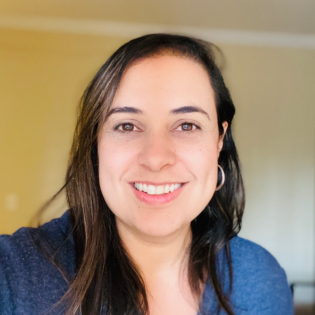 Facilitadores | Comunidade dos Facilitadores LEGO® SERIOUS PLAY® Brasil